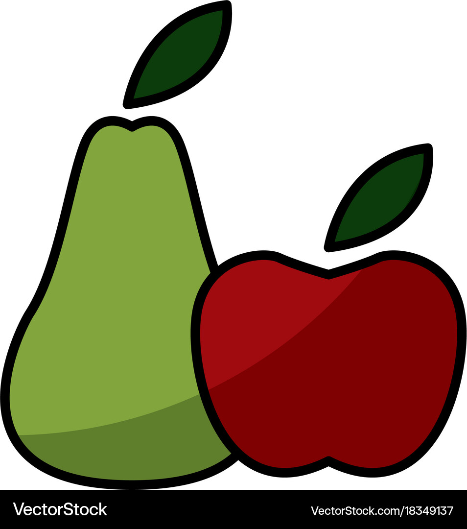 Apple and pear Royalty Free Vector Image - VectorStock