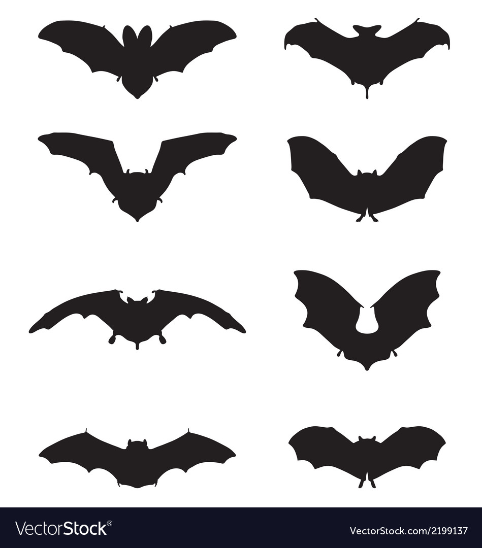 Bats Royalty Free Vector Image - VectorStock