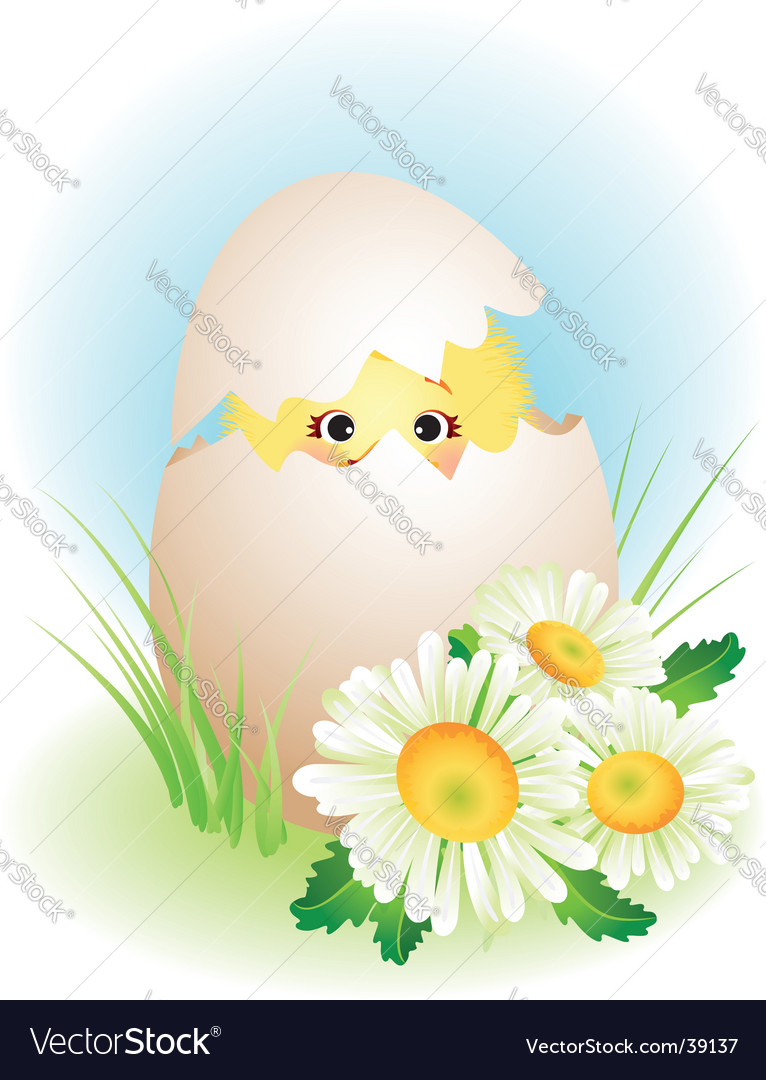 Chick Royalty Free Vector Image - VectorStock