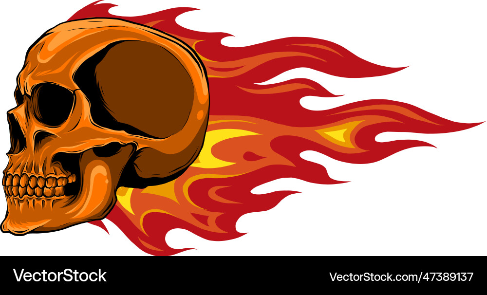 Colored draw of human skull Royalty Free Vector Image