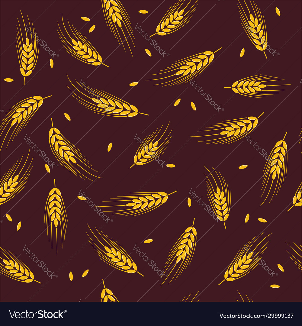 Seamless wheat barley or rye background pattern Vector Image