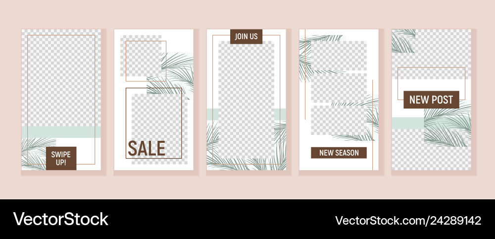 Instagram stories template Royalty Free Vector Image