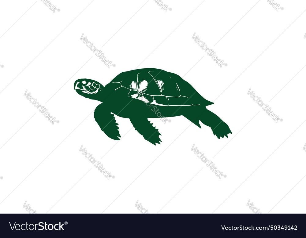 Turtle logo icon premium design Royalty Free Vector Image