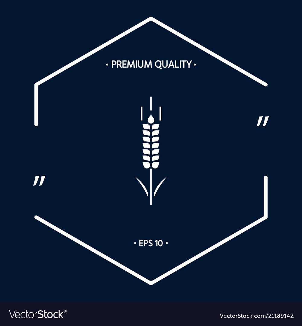 Wheat or rye spikelet symbol Royalty Free Vector Image Wheat or rye spikelet symbol Royalty Free Vector Image