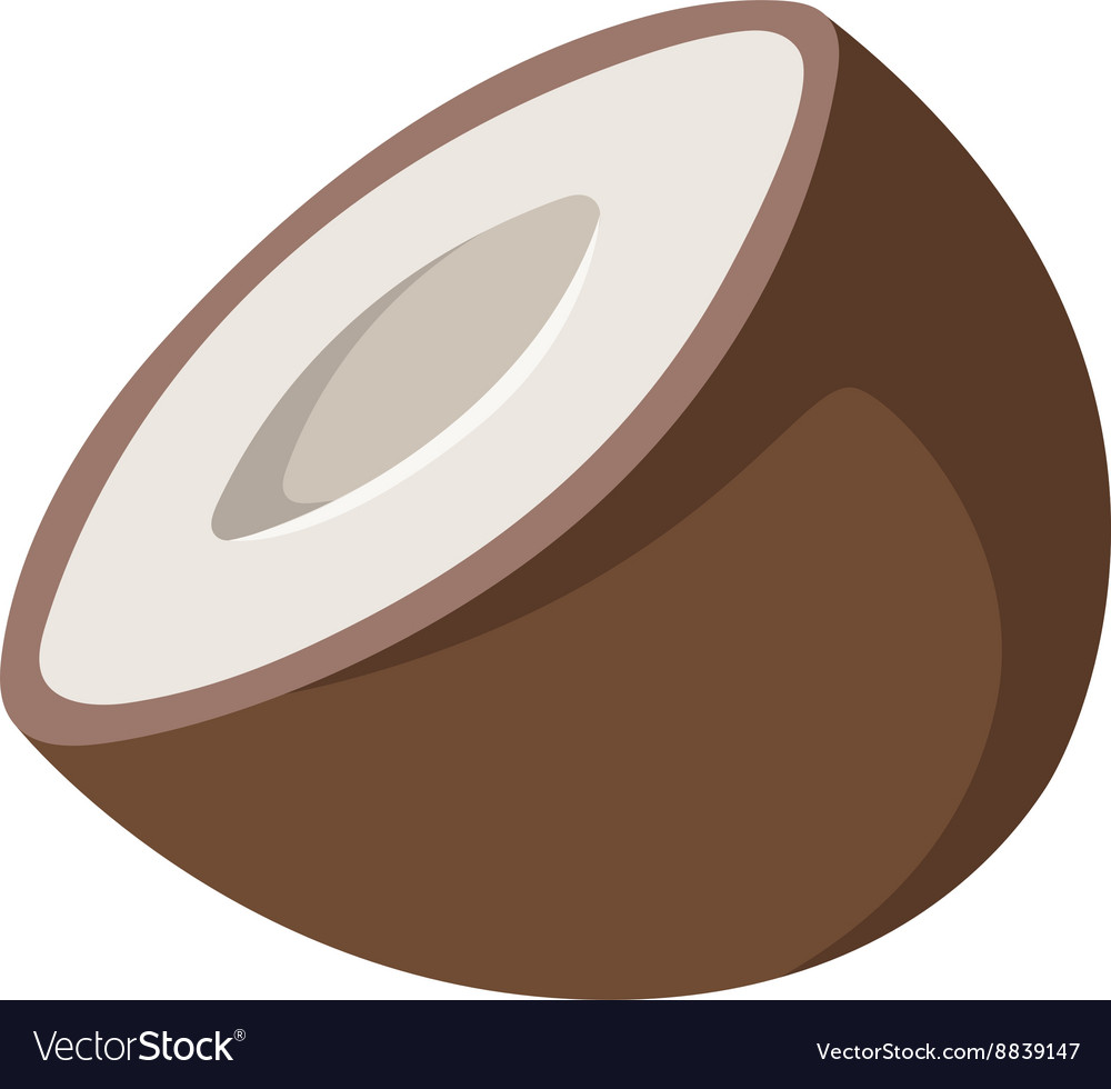 Coconut Royalty Free Vector Image - VectorStock