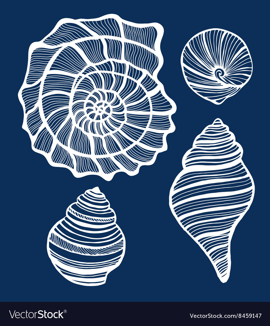 Hand-drawn shell set Royalty Free Vector Image