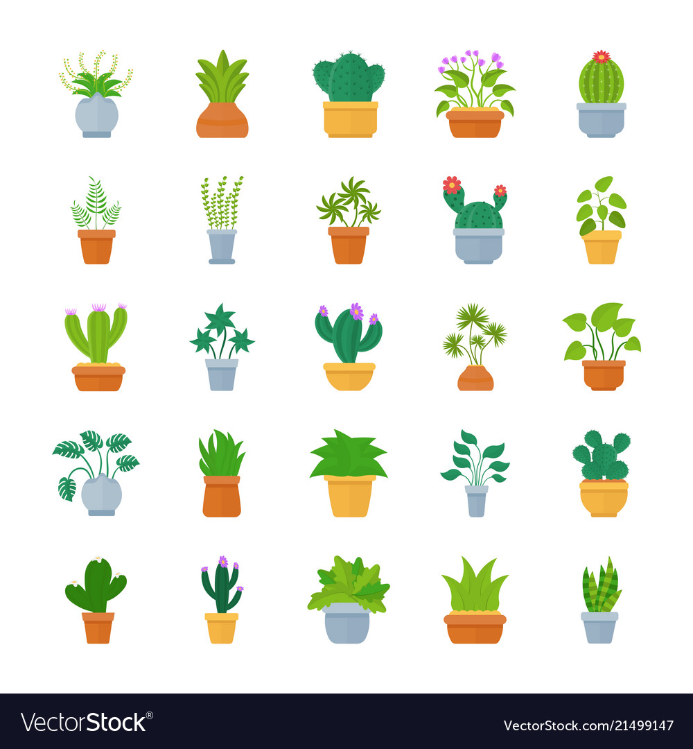 Houseplants flat icon set Royalty Free Vector Image