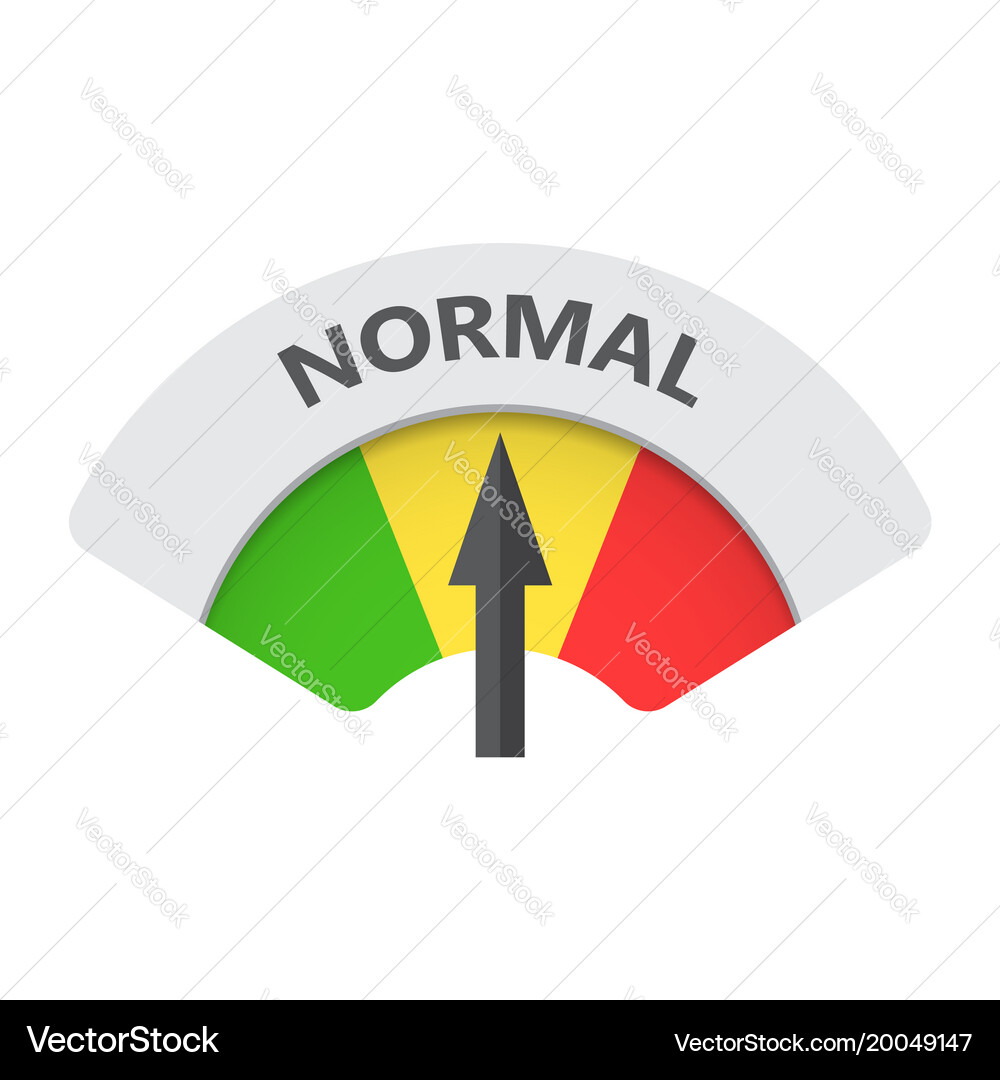 Normal level risk gauge icon fuel on white Vector Image