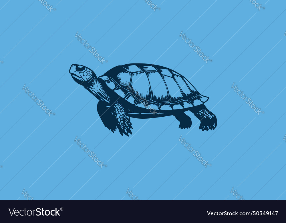 Turtle logo icon premium silhouette design Vector Image