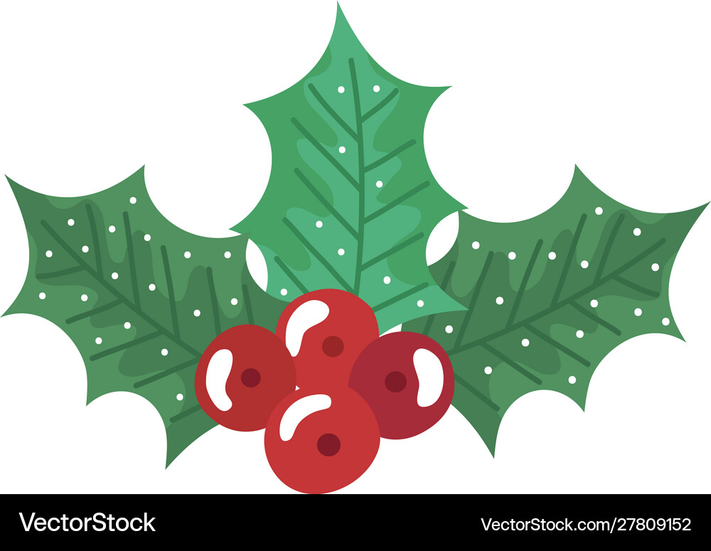 Leafs with seeds decoration christmas isolated Vector Image