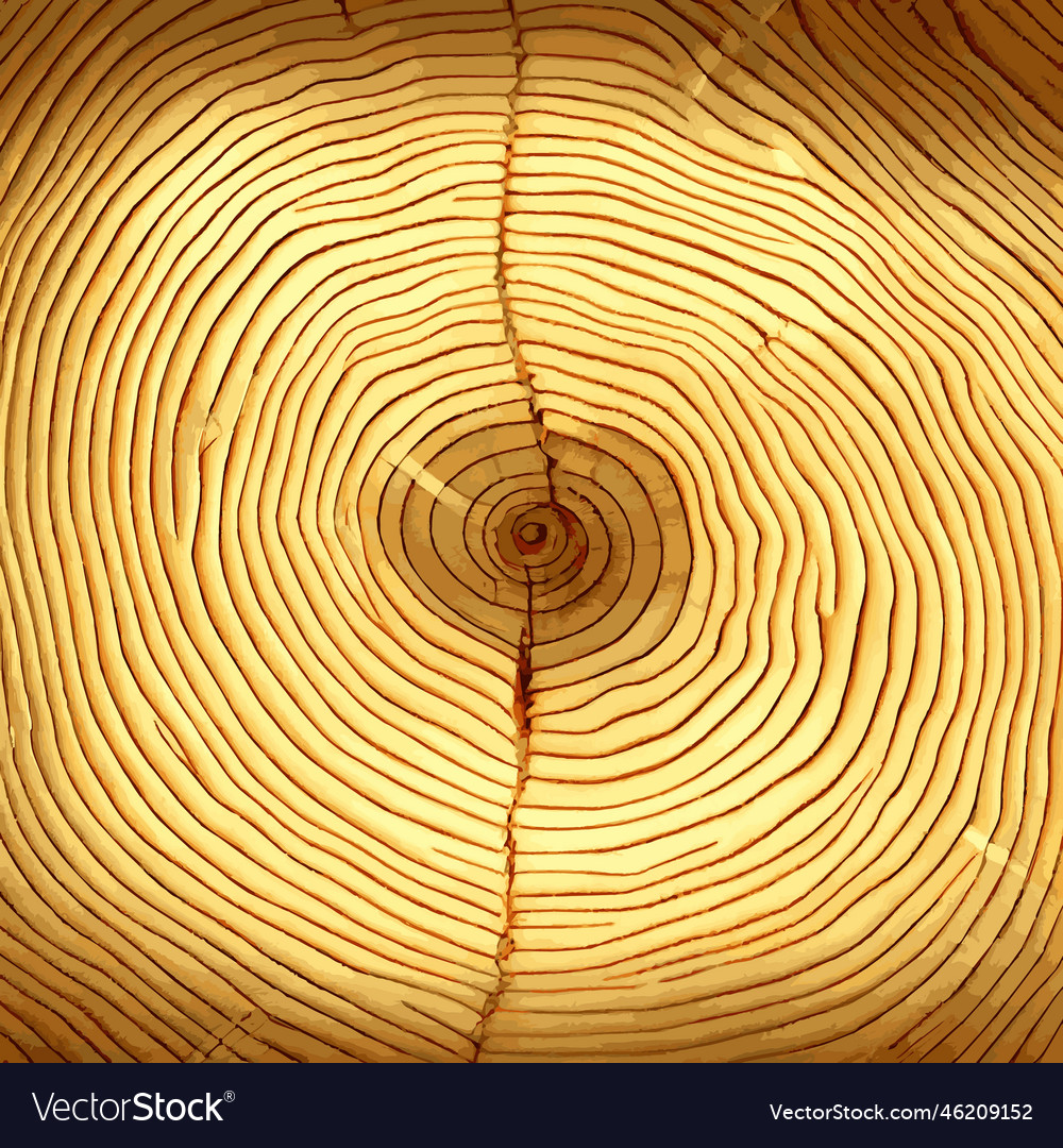 Realistic texture of the tallest green tree Vector Image