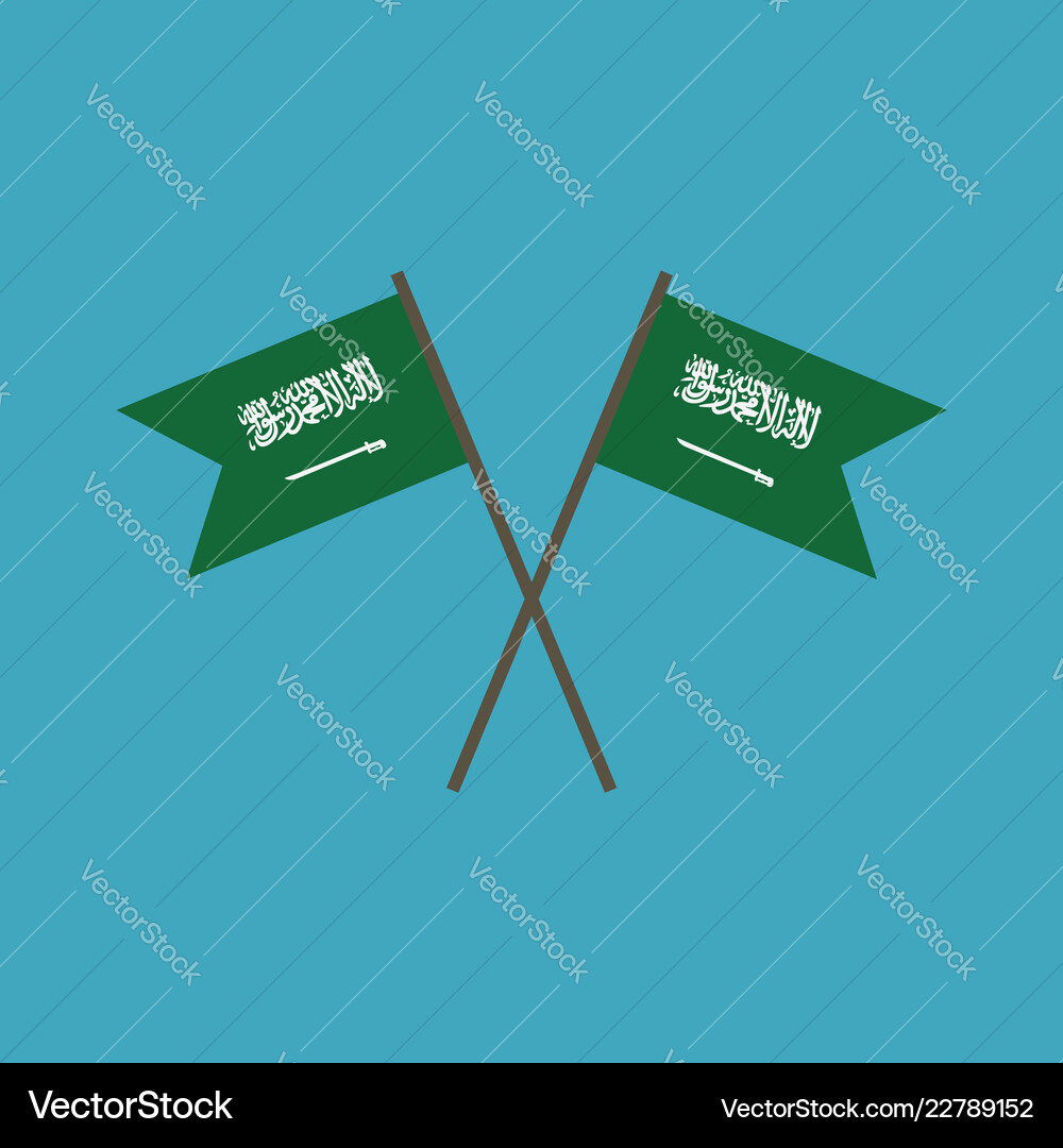 Saudi arabia flag icon in flat design Royalty Free Vector