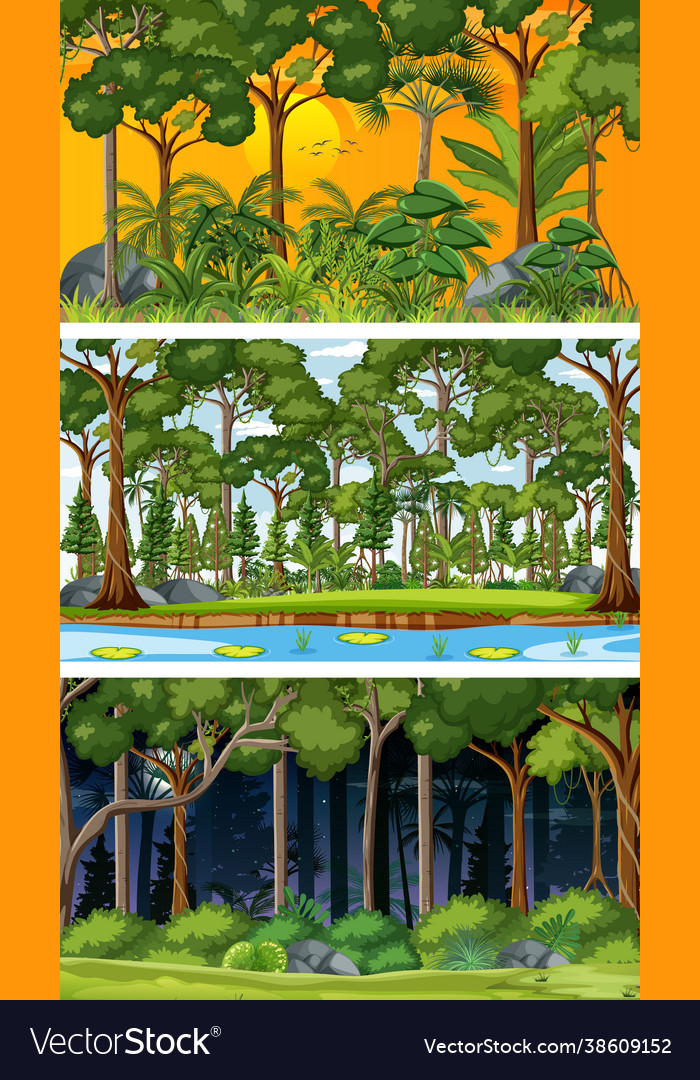 Set different forest horizontal scenes Royalty Free Vector