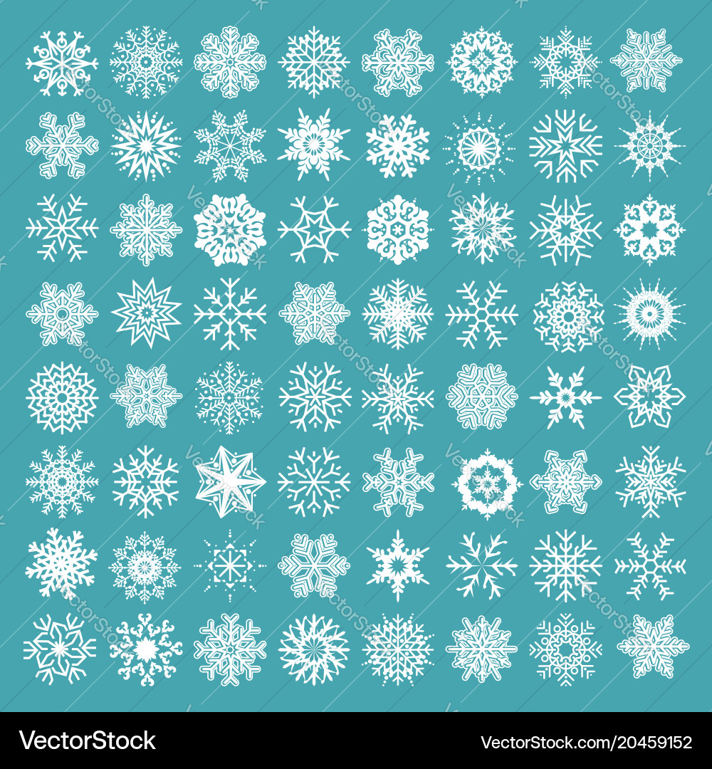 White snowflakes icon on a green background Vector Image