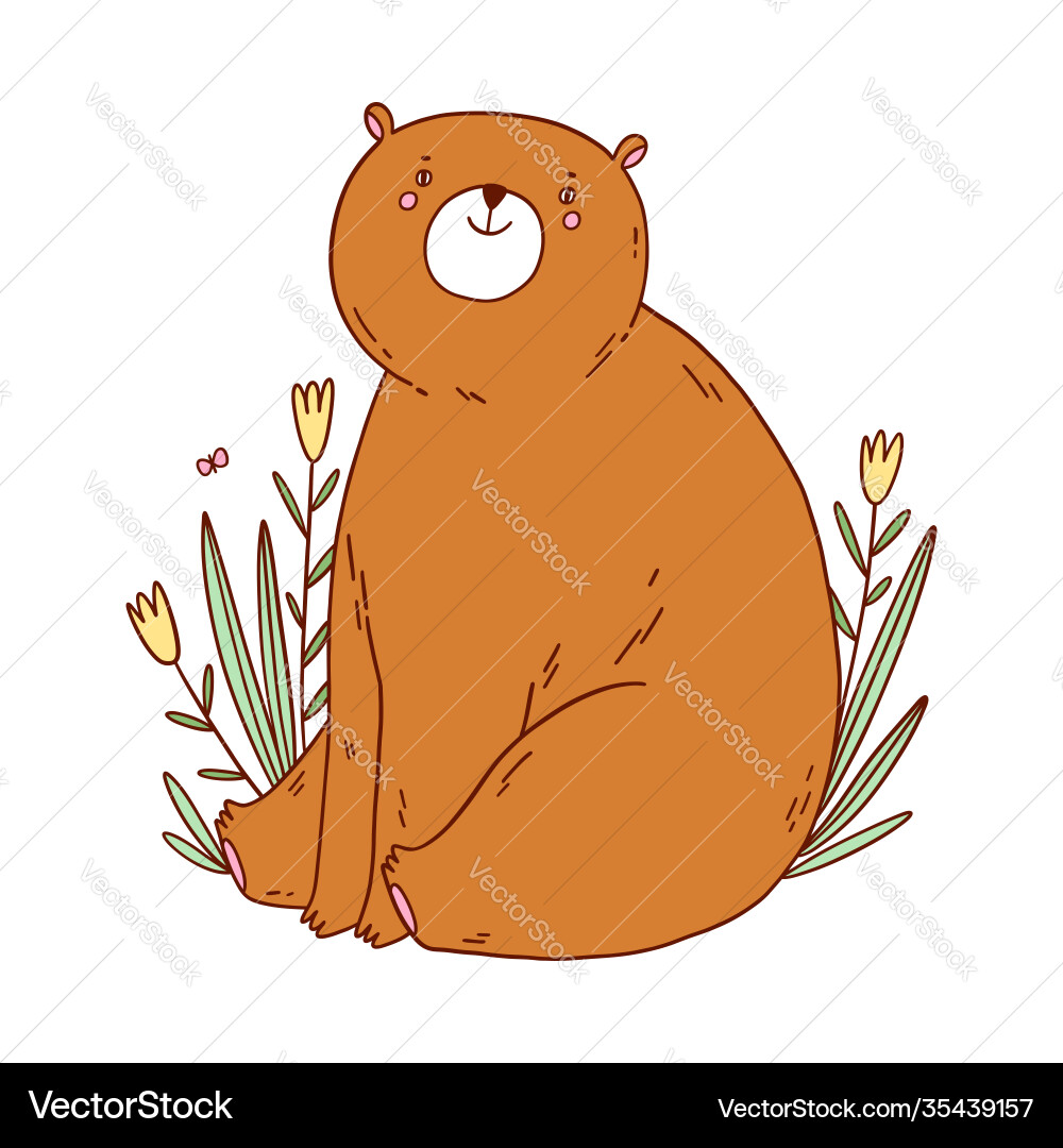 Sitting Bear Drawing