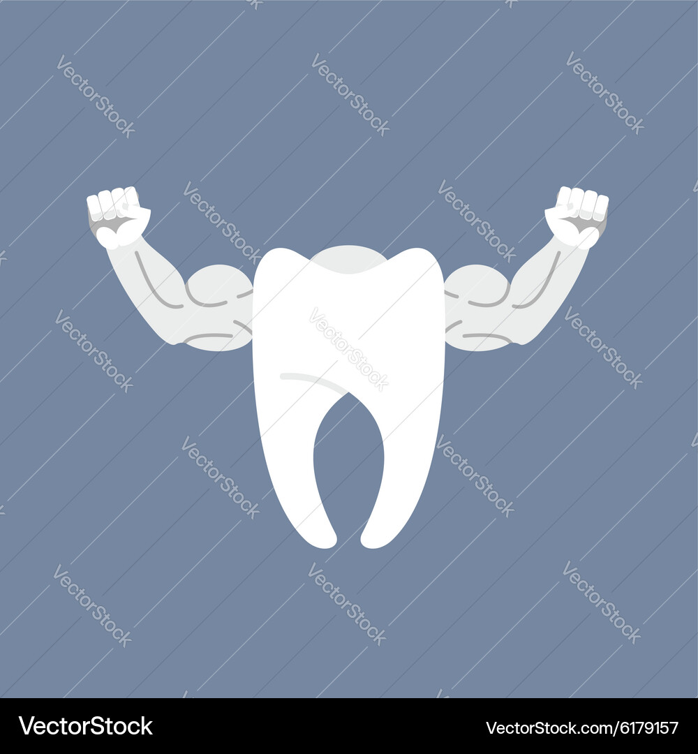 Strong healthy tooth White clean tooth with big Vector Image