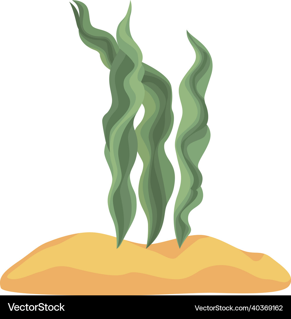 Seaweed green plant Royalty Free Vector Image - VectorStock