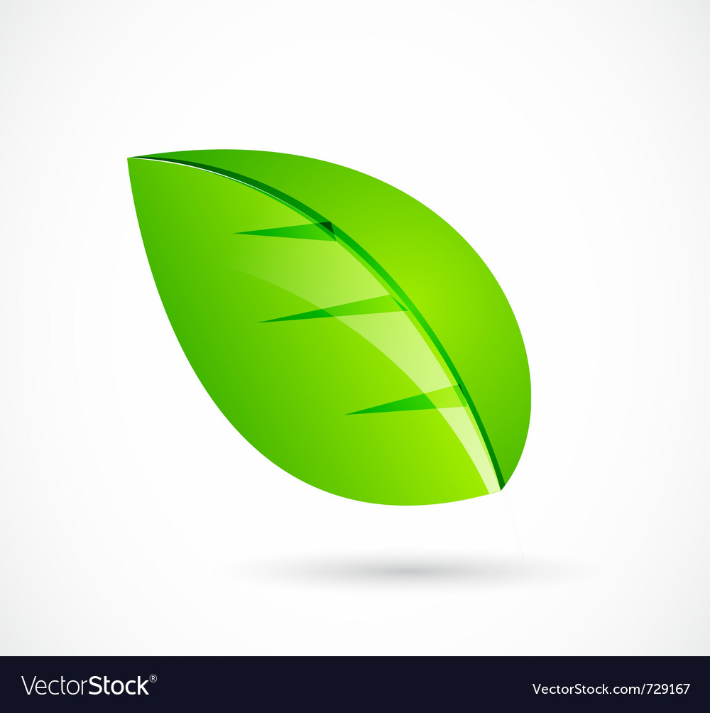 Green leaf concept Royalty Free Vector Image - VectorStock