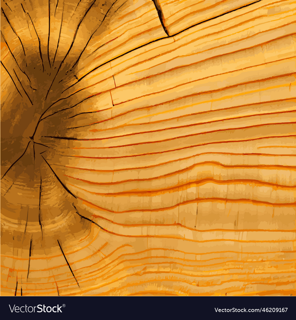 Realistic texture of the tallest green tree Vector Image