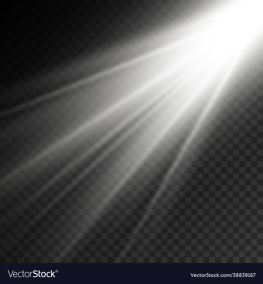 Sunlight flash sun rays white beam light Vector Image