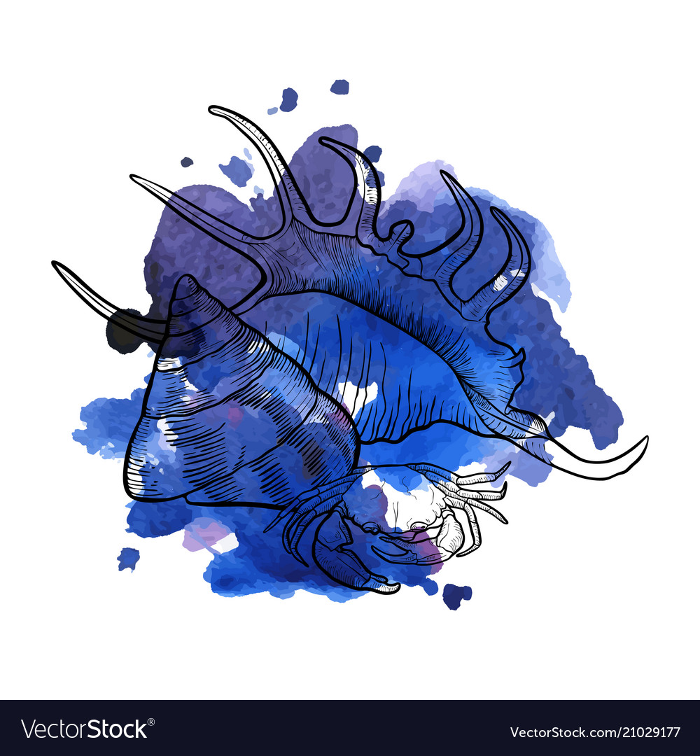 Background with seashells Royalty Free Vector Image