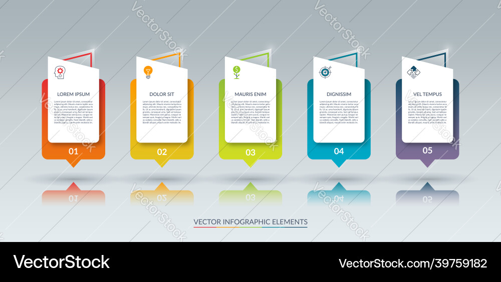 Infographic banner with 5 steps parts options Vector Image