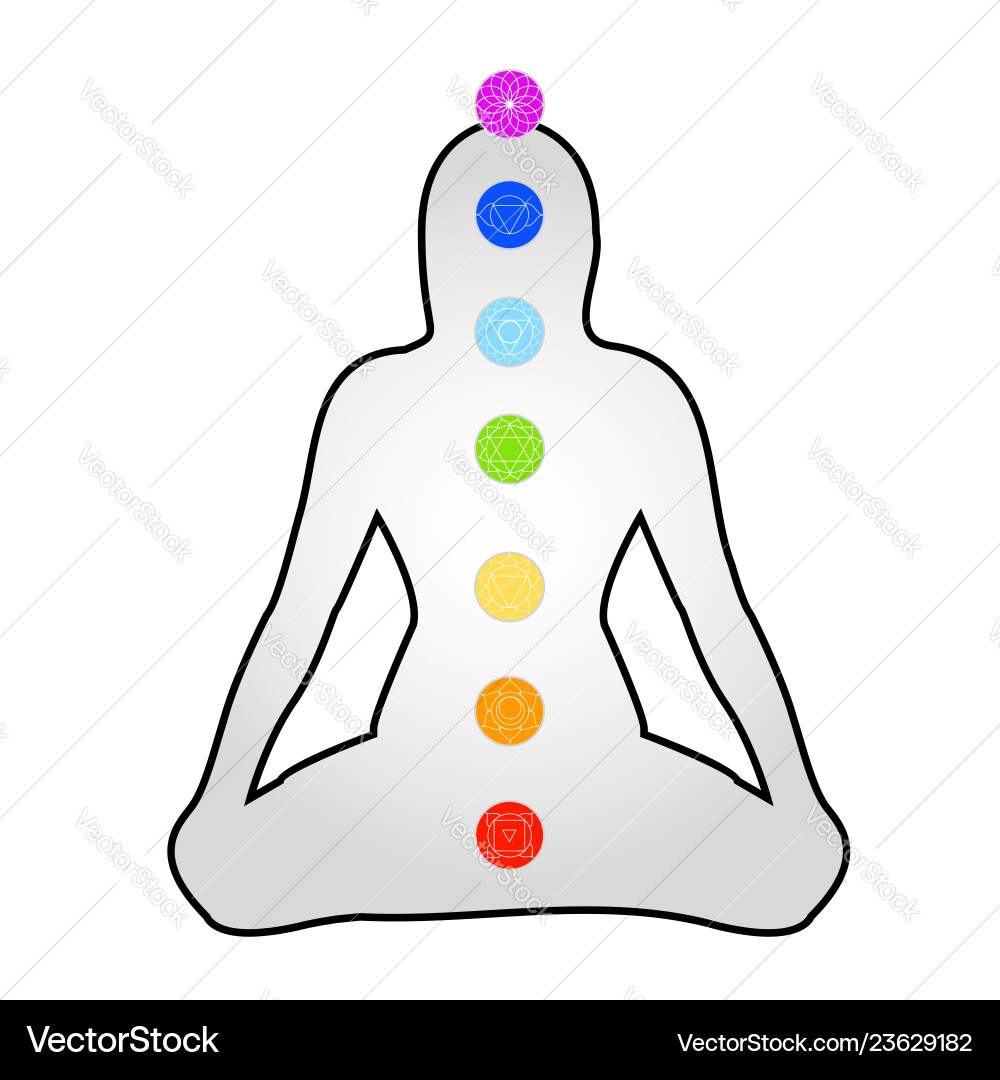 Seven chakras with their respective colors and Vector Image