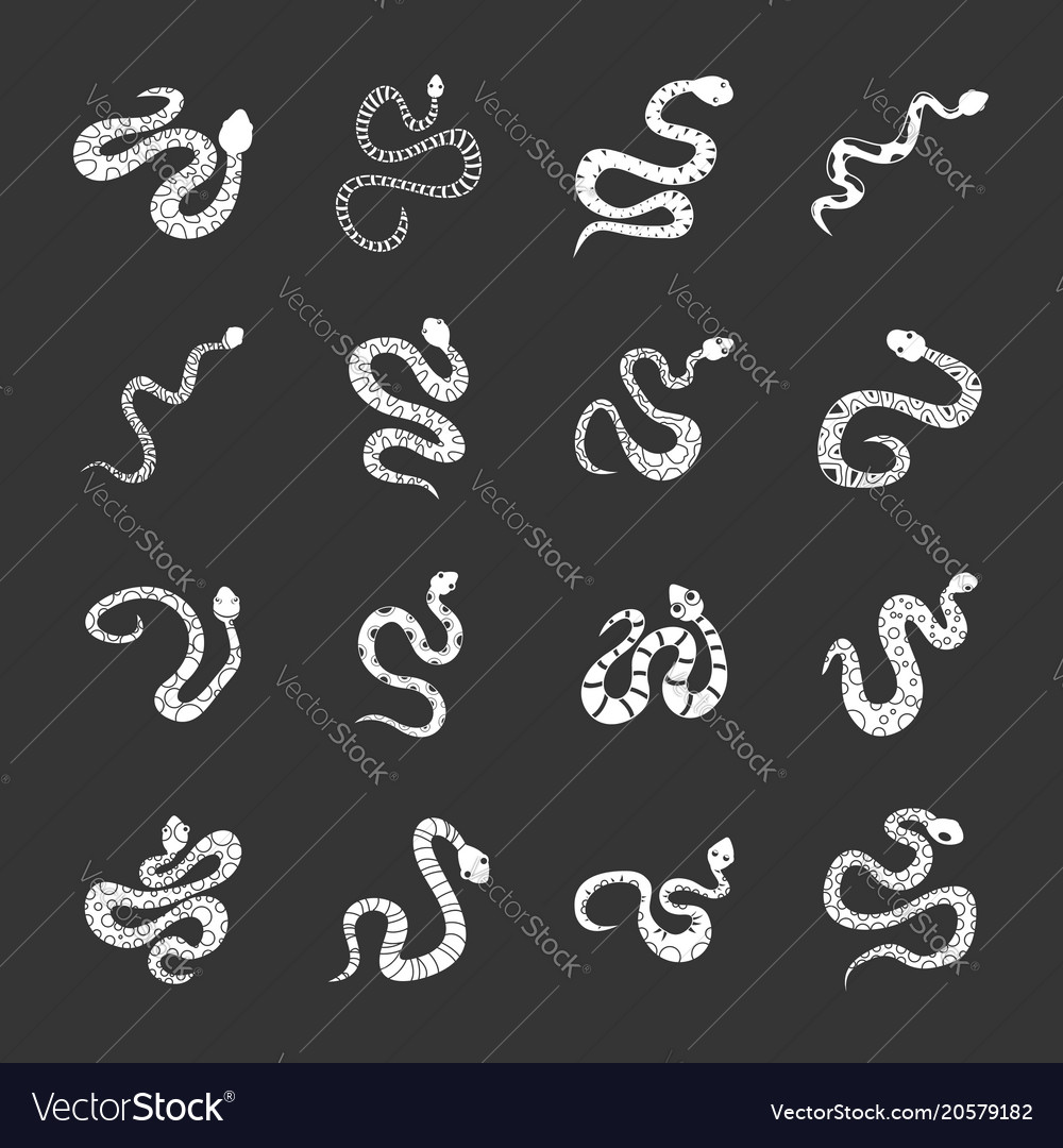 Snake icons set grey Royalty Free Vector Image