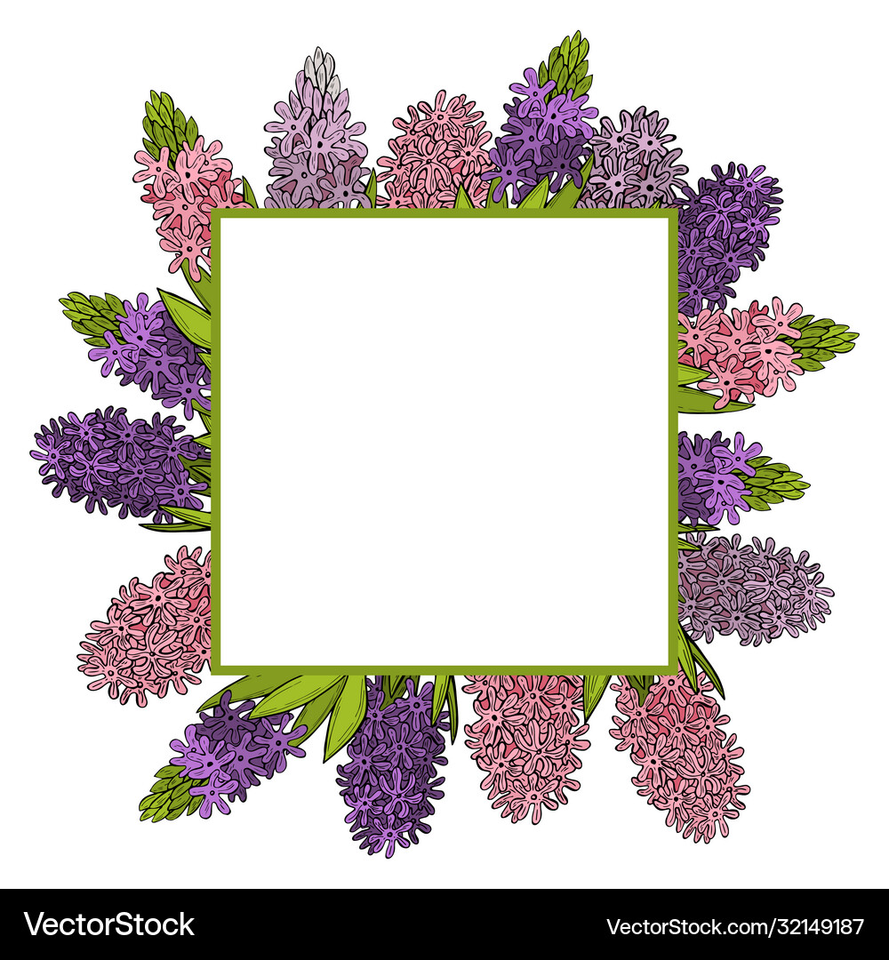 Background with hand drawn hyacinths spring Vector Image