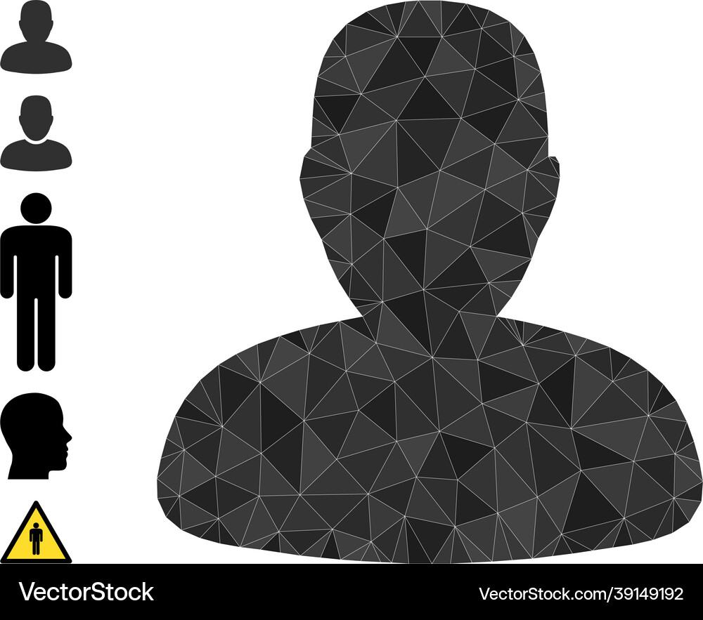 Person profile triangle icon and other icons Vector Image