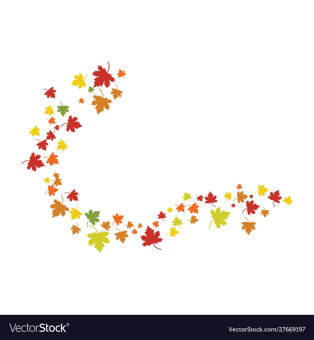 Autumn leaves maple Royalty Free Vector Image - VectorStock