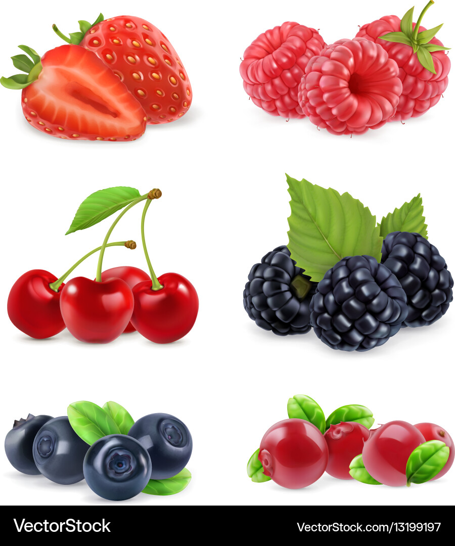 Forest berry sweet fruit realistic 3d icon set Vector Image