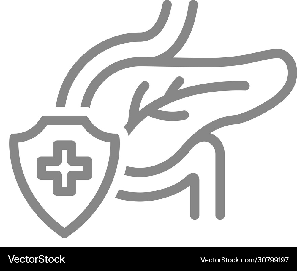 Protected pancreas line icon first aid for human Vector Image