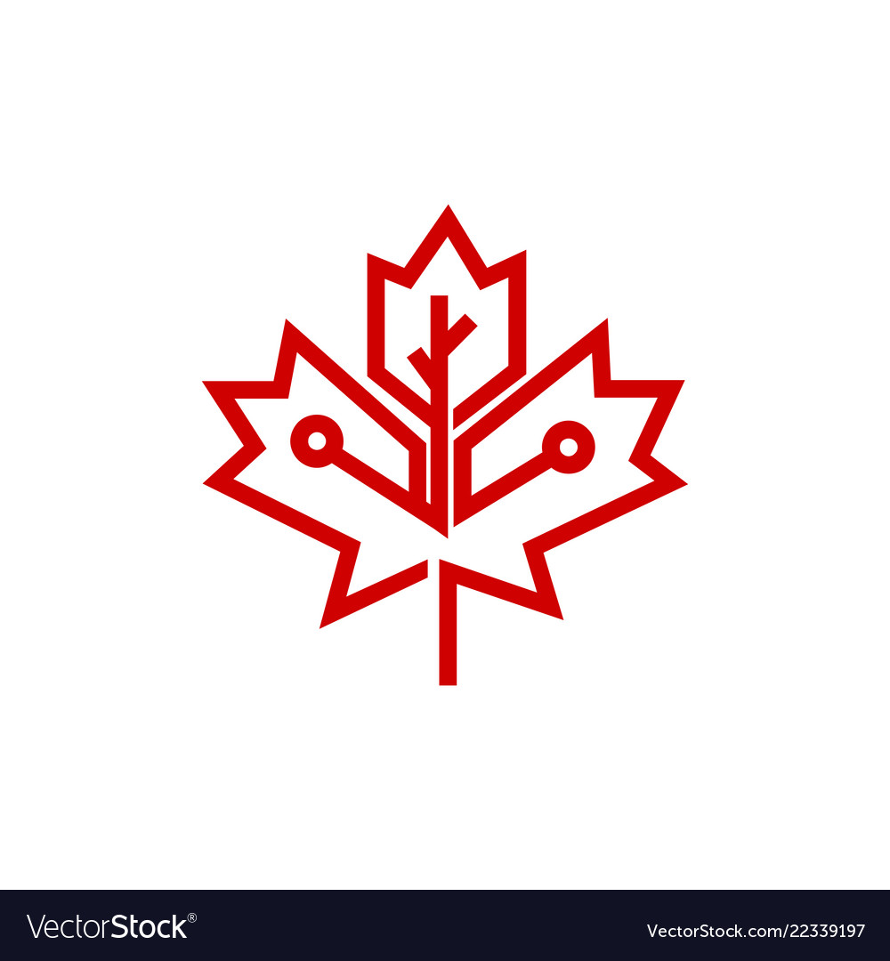 Red canada maple leaf Royalty Free Vector Image