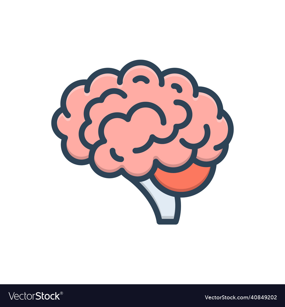 Brain Royalty Free Vector Image - VectorStock