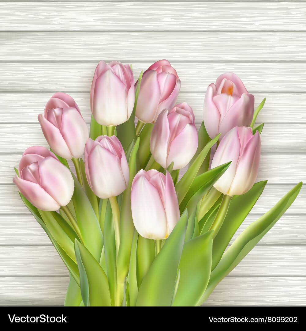 Postcard with pink flowers eps 10 Royalty Free Vector Image