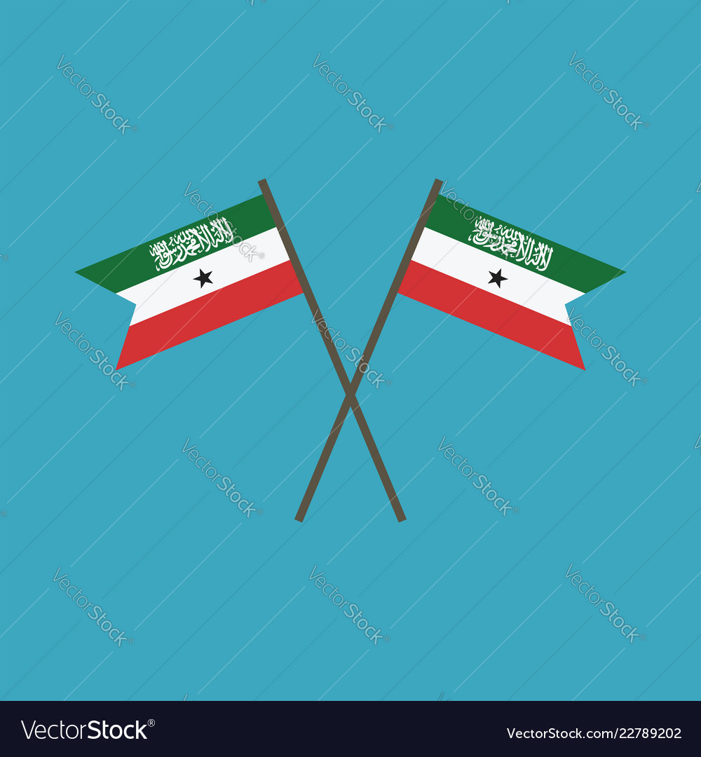 Somaliland flag icon in flat design Royalty Free Vector