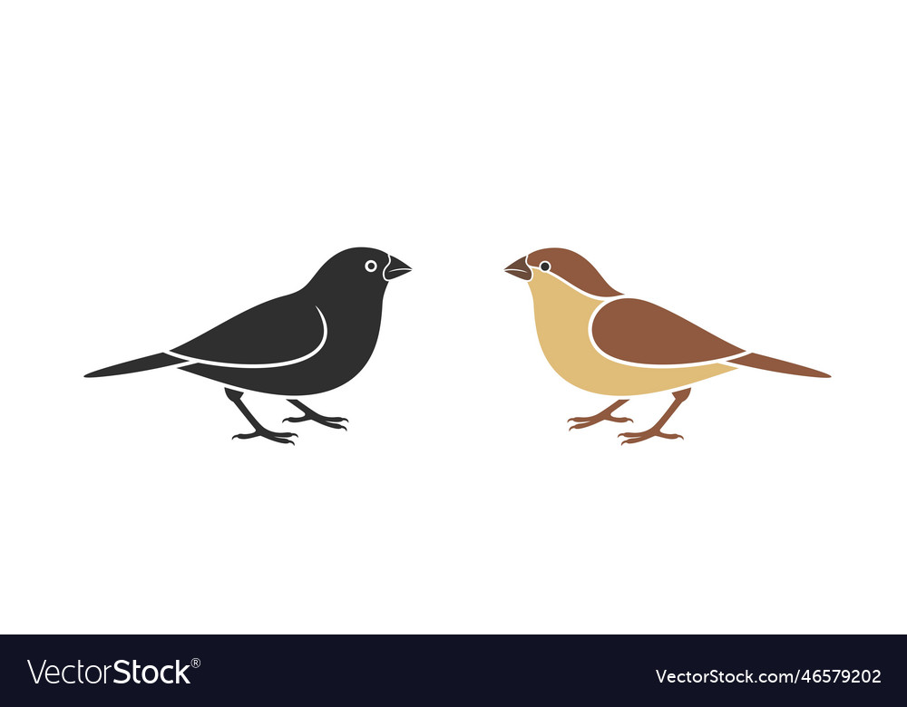 Sparrow Royalty Free Vector Image - VectorStock