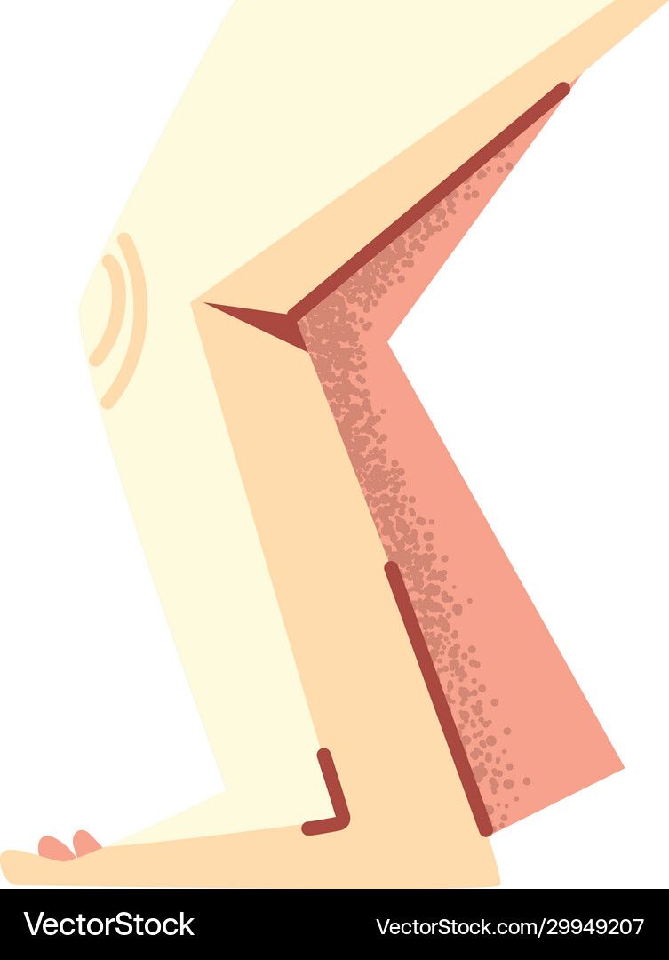 Human leg body part on white background Royalty Free Vector