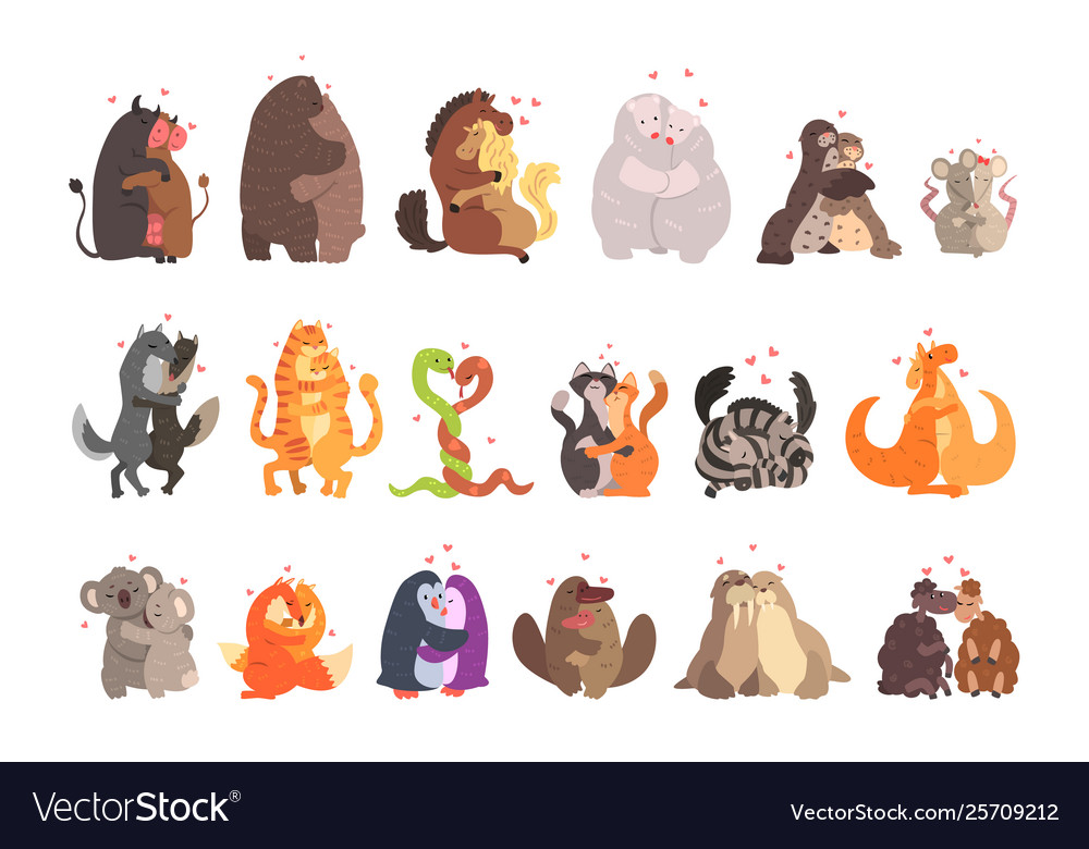 Couple cute animals in love embracing each Vector Image