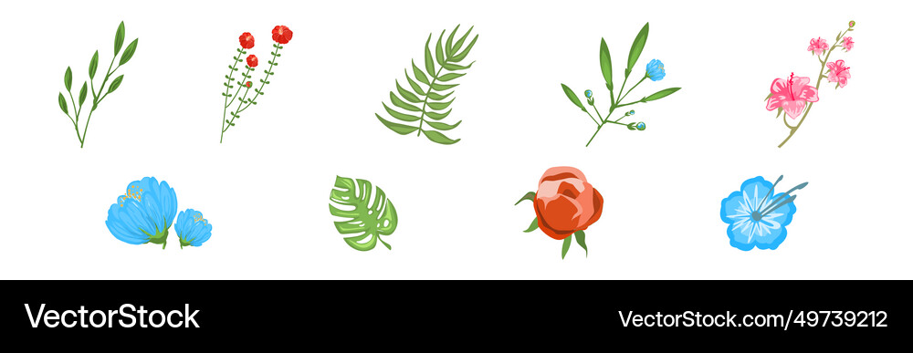 Tropical blooming flora and botany plant Vector Image