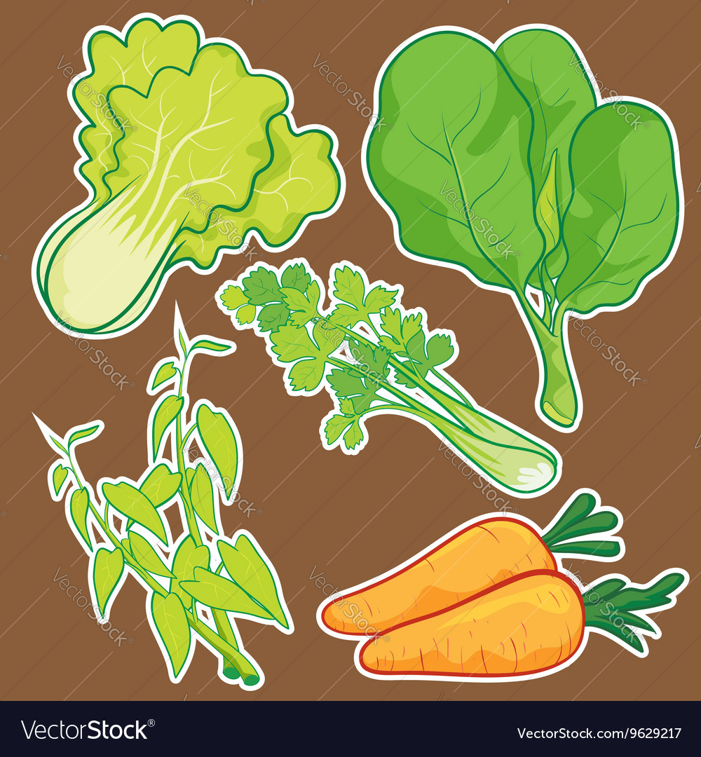 Cute Vegetable set Royalty Free Vector Image - VectorStock