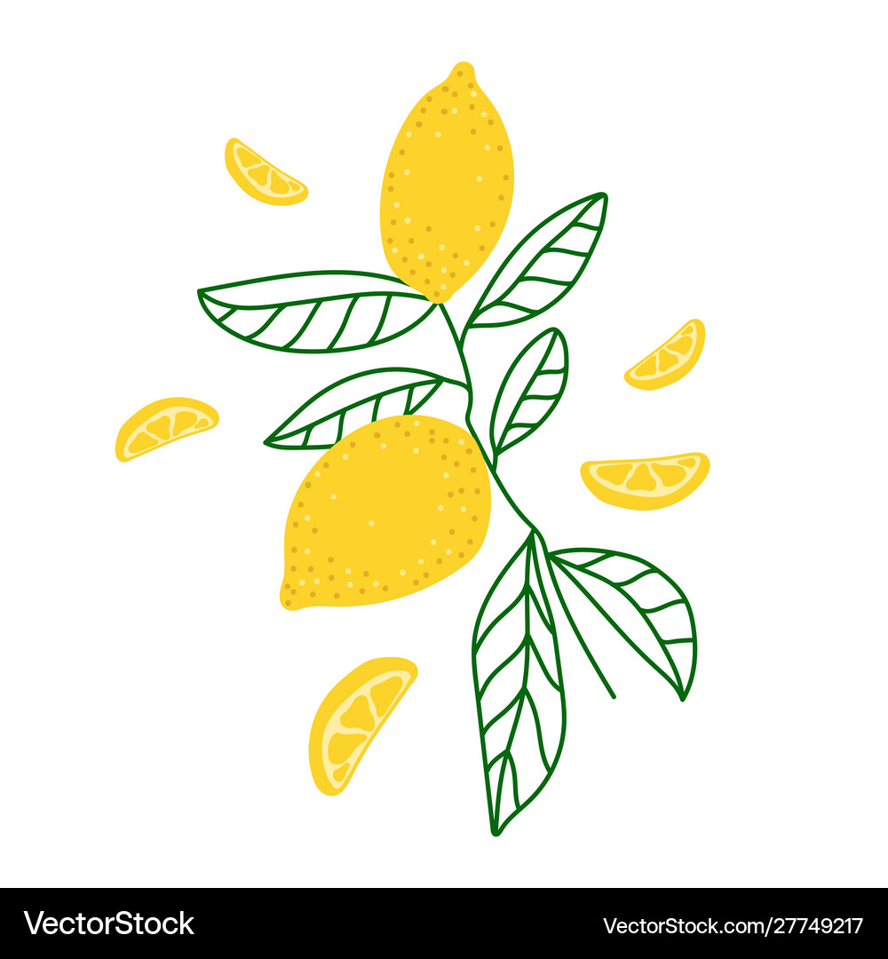 Flat with yellow lemons hand drawn lemon on white Vector Image
