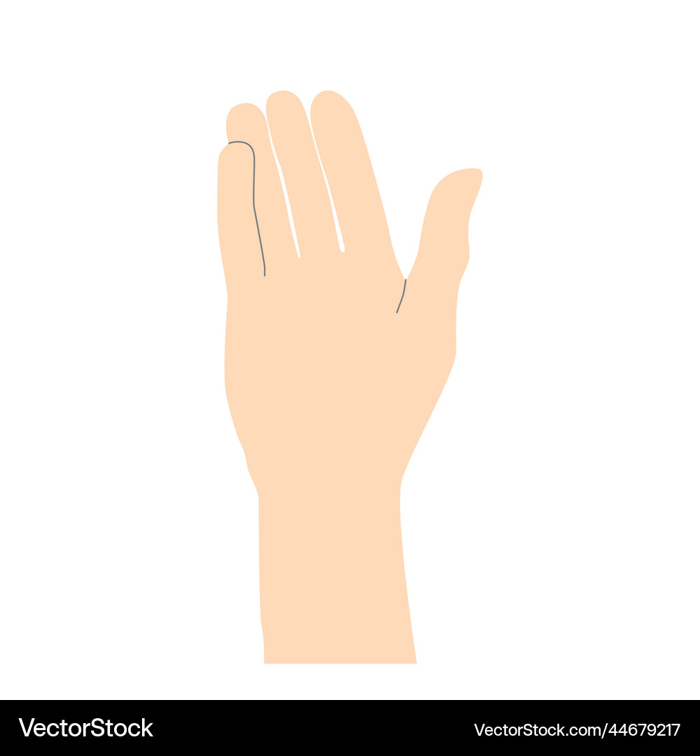 Human hand palm greeting beige with lines Vector Image