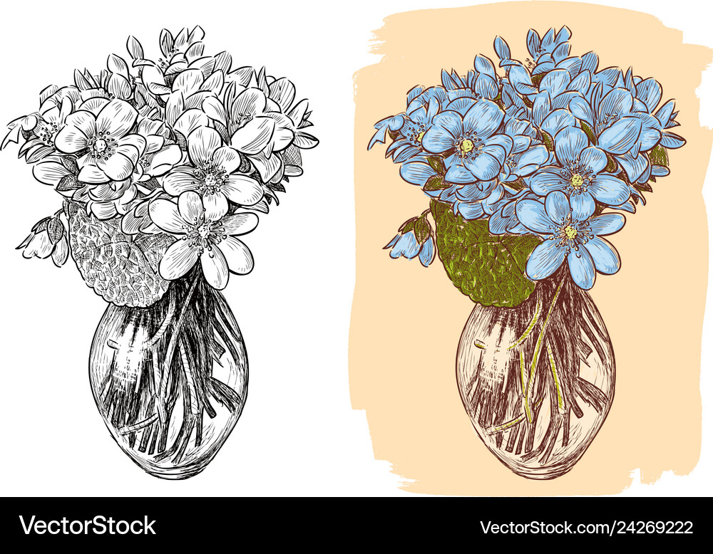 Bouquet of violets Royalty Free Vector Image - VectorStock
