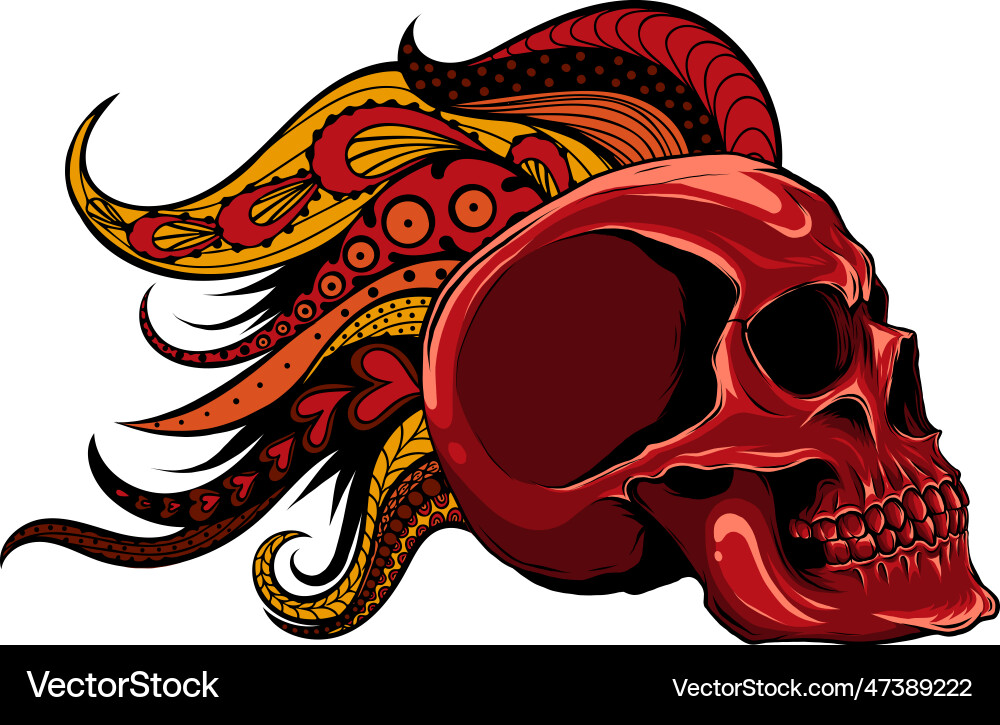 Colored draw of human skull Royalty Free Vector Image