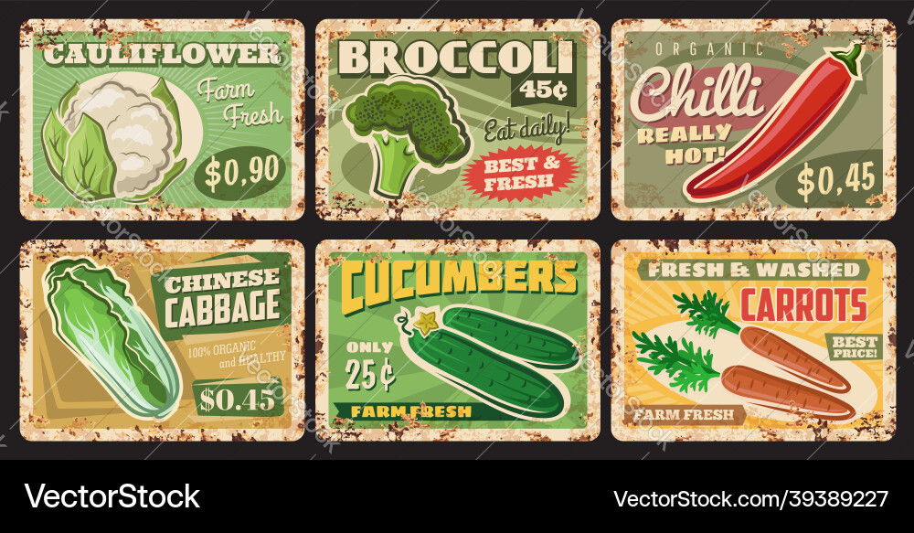 Vegetables rusty metal plates price tags Vector Image