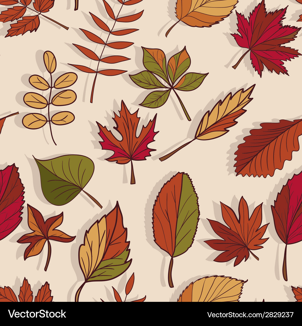 Autumn pattern of leaves red yellow Royalty Free Vector