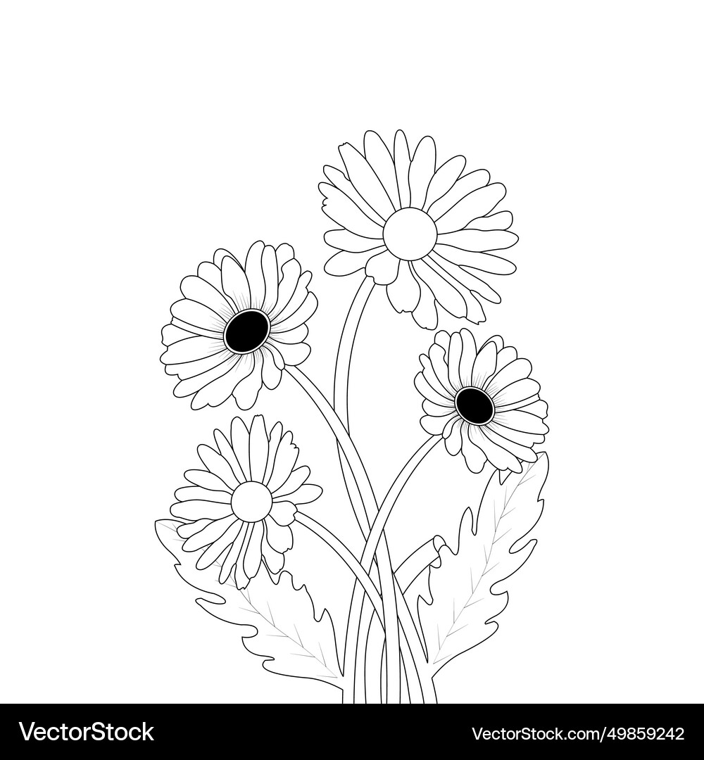 Daisy flower coloring page line art Royalty Free Vector