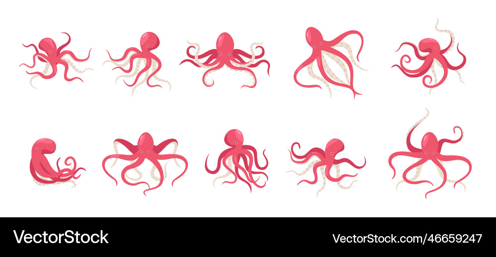 Cartoon octopus playful red octopus in various Vector Image